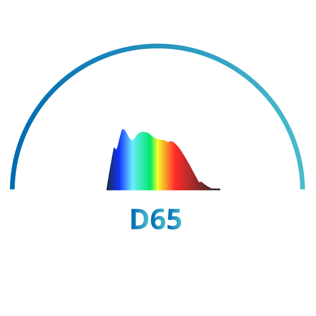 Your light - Degré K